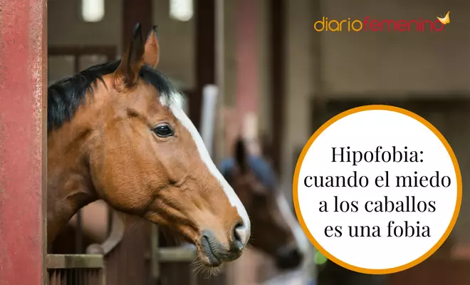 O medo de cavalos é chamado de hipofobia ou equinofobia.