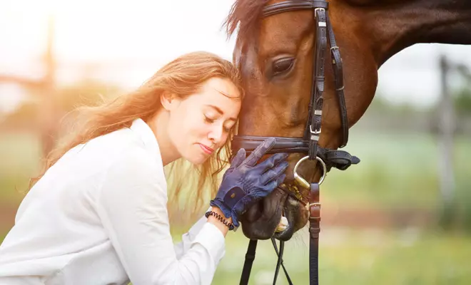 Kaip įveikti arklių baimę