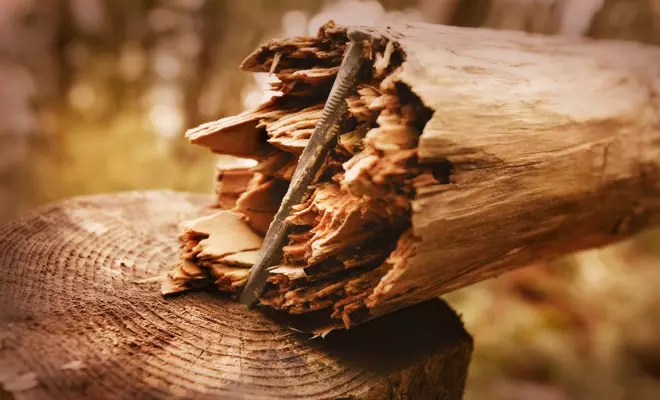 Hvordan man overvinder xylofobi eller frygt for træ