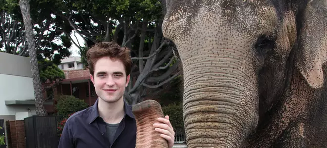 Robert Pattinson relieved to change Edward Cullen for the role of a human