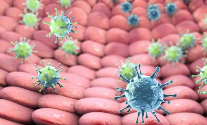 انساني پيپليلوما وائرس: ڄاڻ حاصل ڪريو ۽ ان کي روڪڻ جي ڪوشش ڪريو