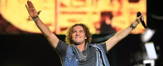 David Bisbal