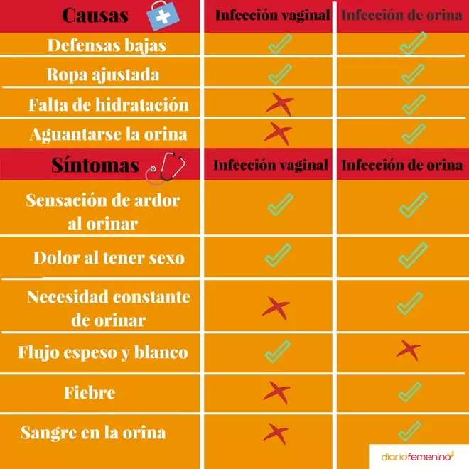 Perbedaan antara infeksi vagina dan infeksi urin