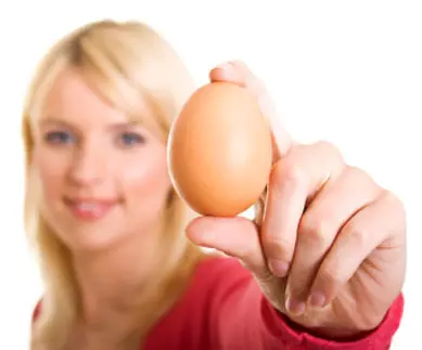 건강하고 재생 가능한 계란
