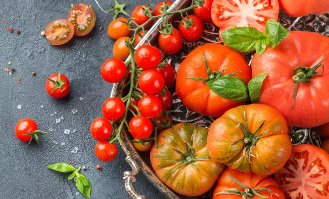 Kā uzzināt, vai tomāts ir nogatavojies: garšīgākā izvēle