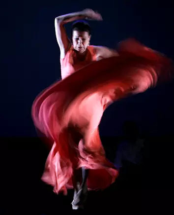 Flamenco, ihe nketa nke mmadu