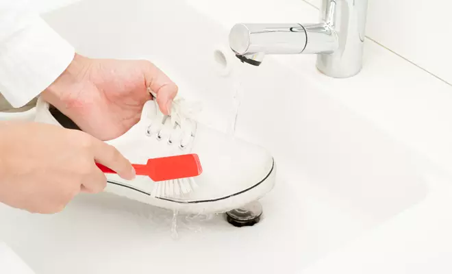 pasta de dentes limpa zapatillas deportivas
