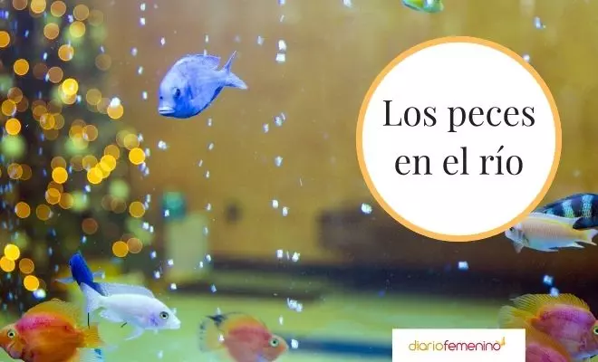 스페인의 유명한 크리스마스 캐럴 '강물 속의 물고기'