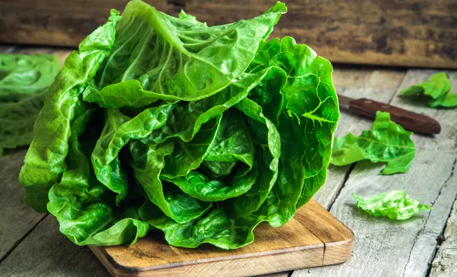 Nzira yekuchengetedza lettuce kuitira kuti igare kwenguva refu: nzira dzisingakanganisi