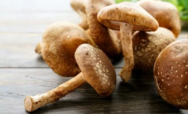 7 mënyra të shkëlqyera për të ruajtur kërpudhat (dhe si t'i pastroni ato siç duhet)