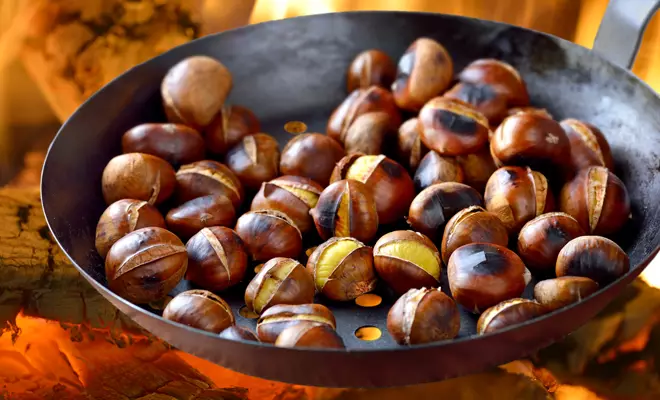 Makan chestnut sepanjang tahun adalah mungkin