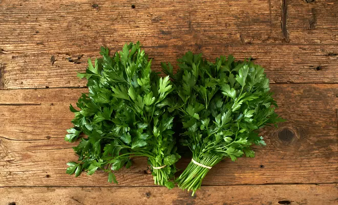 How to keep parsley fresh