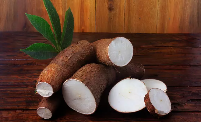 OSO aholku praktikoak manioka baldintza ezin hobeetan mantentzeko
