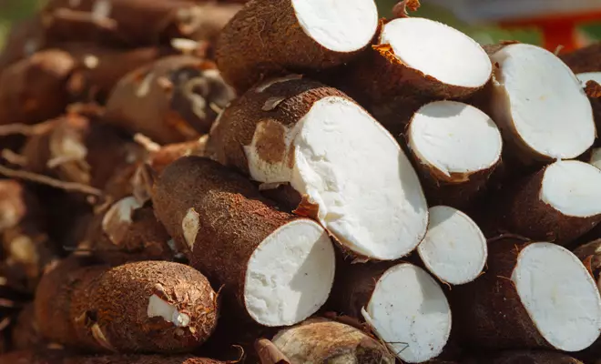 Cum se păstrează manioc congelat?