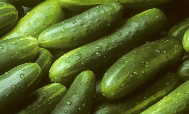 Ako by ste mali udržiavať uhorky čerstvé?