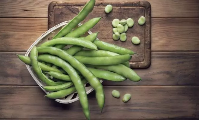 How to keep broad beans fresh to cook them on any occasion