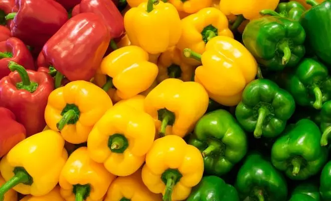 你應該如何保存新鮮的辣椒？