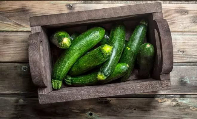 Tips to store zucchini longer