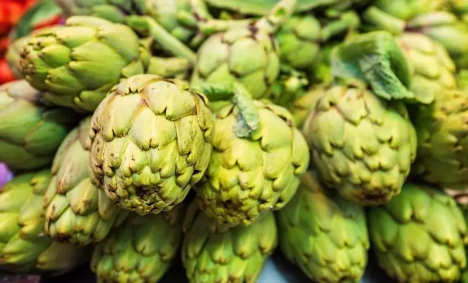 How to preserve artichokes: practical tricks to maintain their properties