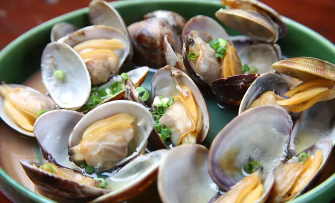 Steps to preserve fresh clams well