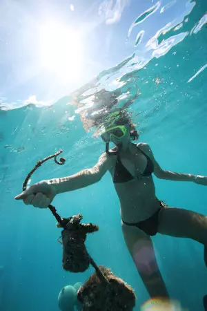 scufundări în tahiti