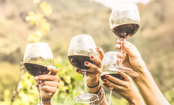 Kako hraniti odprto ali zaprto steklenico vina