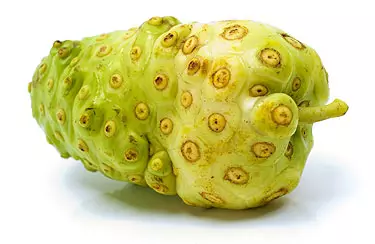 Noni, frutto medicinale, nutriente e sconosciuto