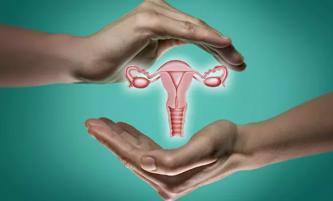 Pag-obra sa mga vaginal ovule