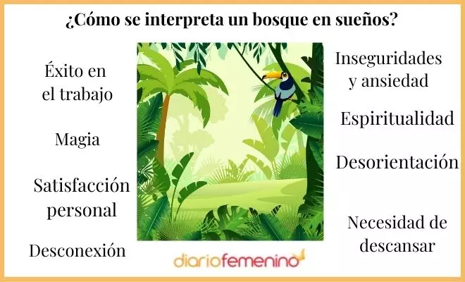 El simbolisme d´un bosc en somnis