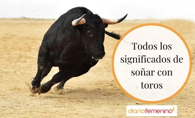 Todos os significados de sonhar com touros