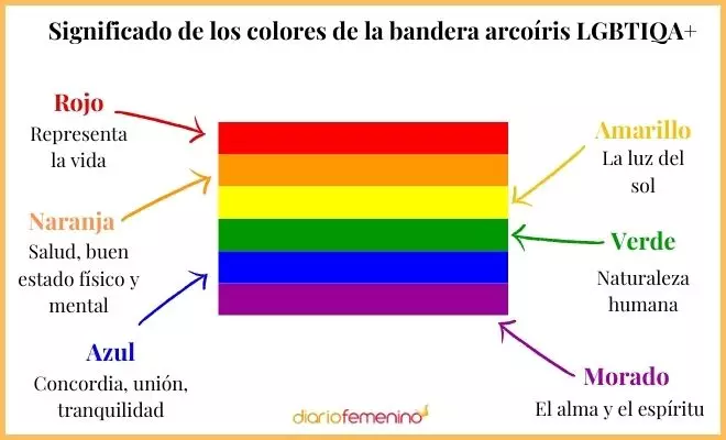 Vilken betydelse har var och en av färgerna på HBT+ regnbågsflaggan?