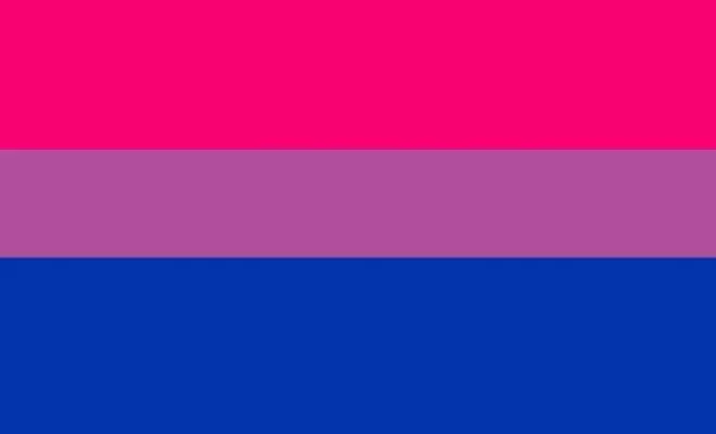 Šis ir biseksuāļu karogs