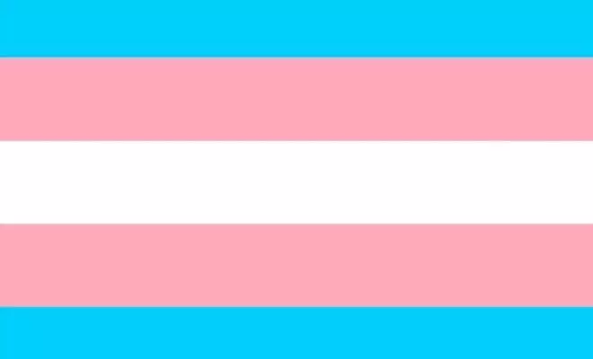 Kaip yra transseksualų vėliava