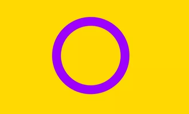 Як виглядає інтерсекс прапор