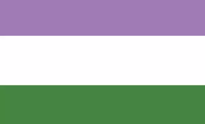 Kaip atrodo Queer vėliava?
