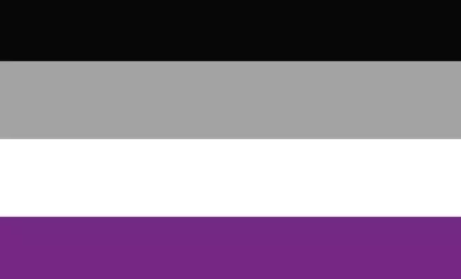 Como é a bandeira assexual