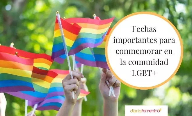 Tanggal paling penting ing komunitas LGBT + saliyane Pride Day