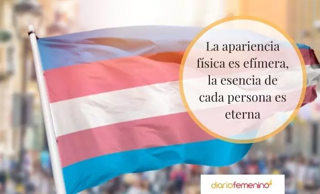 Messagen fir op Trans Awareness Day ze deelen