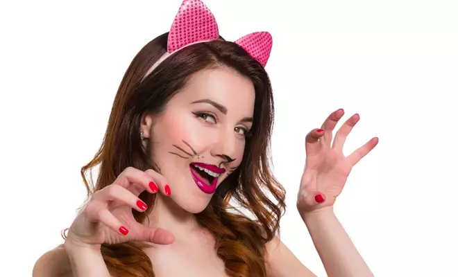 Bagaimana untuk melengkapkan kostum kucing anda pada Halloween