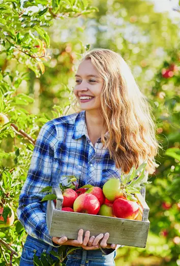가을 과일과 건강상의 이점