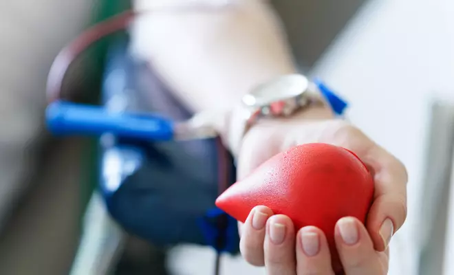 Ako často môžete darovať krv?