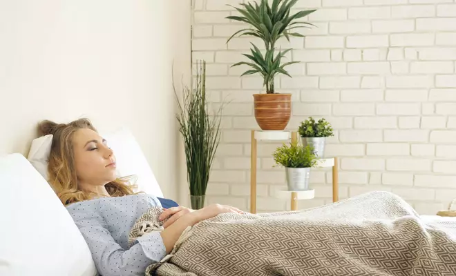 Ulemper eller ulemper ved at sove i samme rum som dine planter