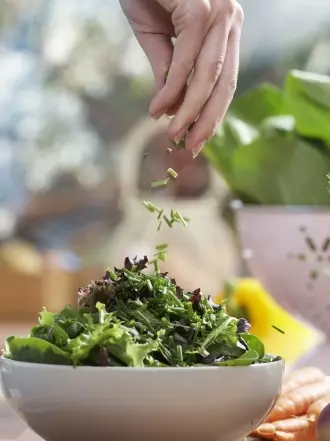 Salat an Detox Diäten