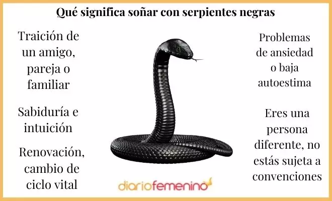 Le symbolisme des serpents noirs dans les rêves