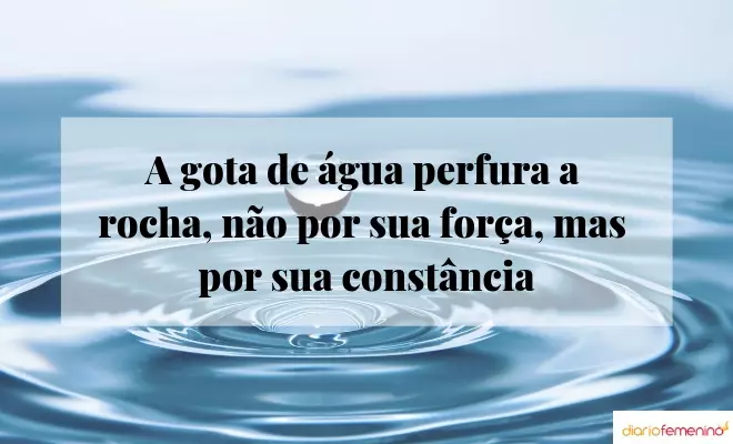 Phrase sur la persévérance en portugais