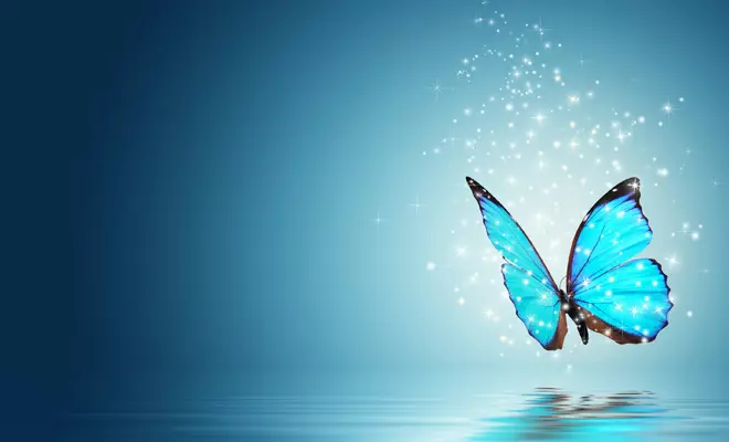 Legenden om den blå sommerfugl: magten er i dine hænder