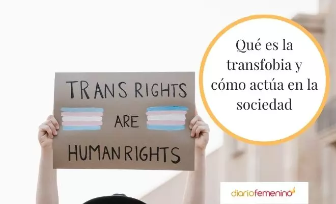 Apa itu transfobia: bagaimana mengenali diskriminasi (dan mengakhirinya)