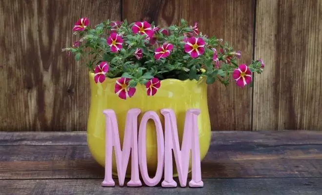 How did Mother's Day come about in the United States and how is it celebrated today?