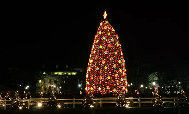 National Christmas Tree: ang labing tipikal nga kahoy sa Estados Unidos