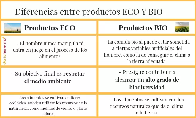 What are the differences between ECO and BIO foods?